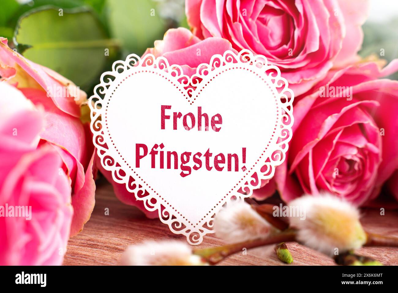 15 May 2024: Pentecost, pink roses in the sunshine with a heart and the ...