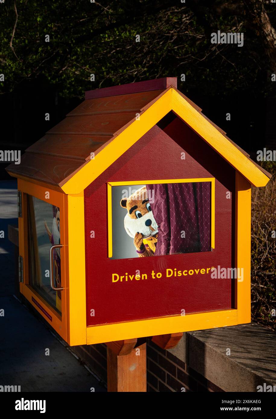 A cute mini library on the campus of the University of Minnesota Stock ...
