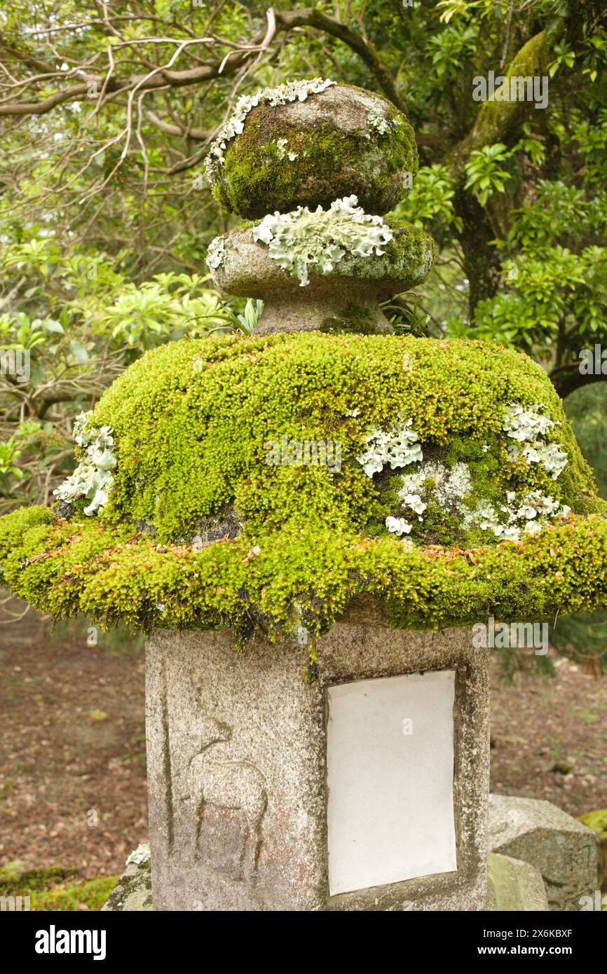 Japan, Nara, stone lantern, moss Stock Photo - Alamy