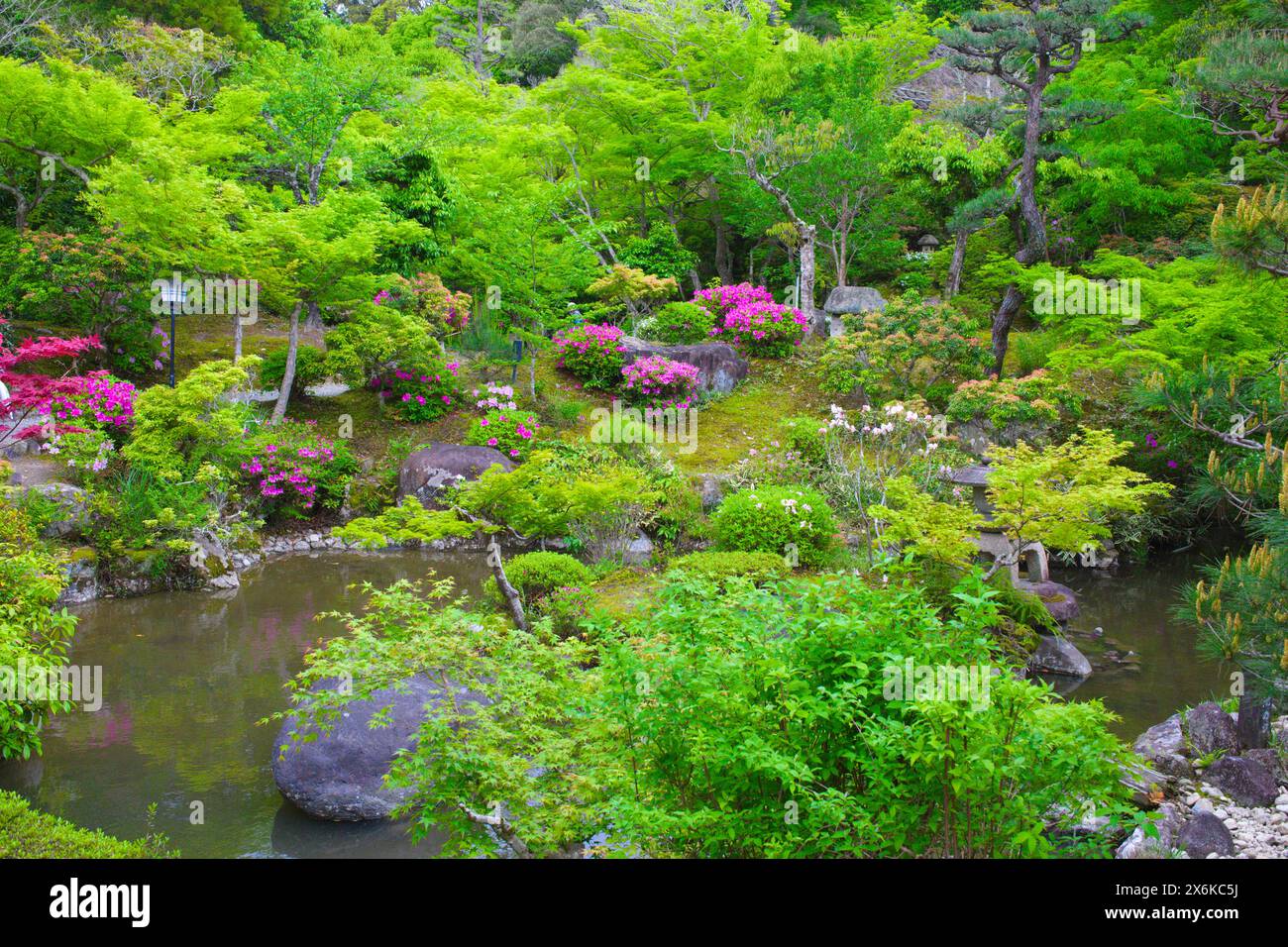 Japan, Nara, Yoshikien Garden Stock Photo - Alamy