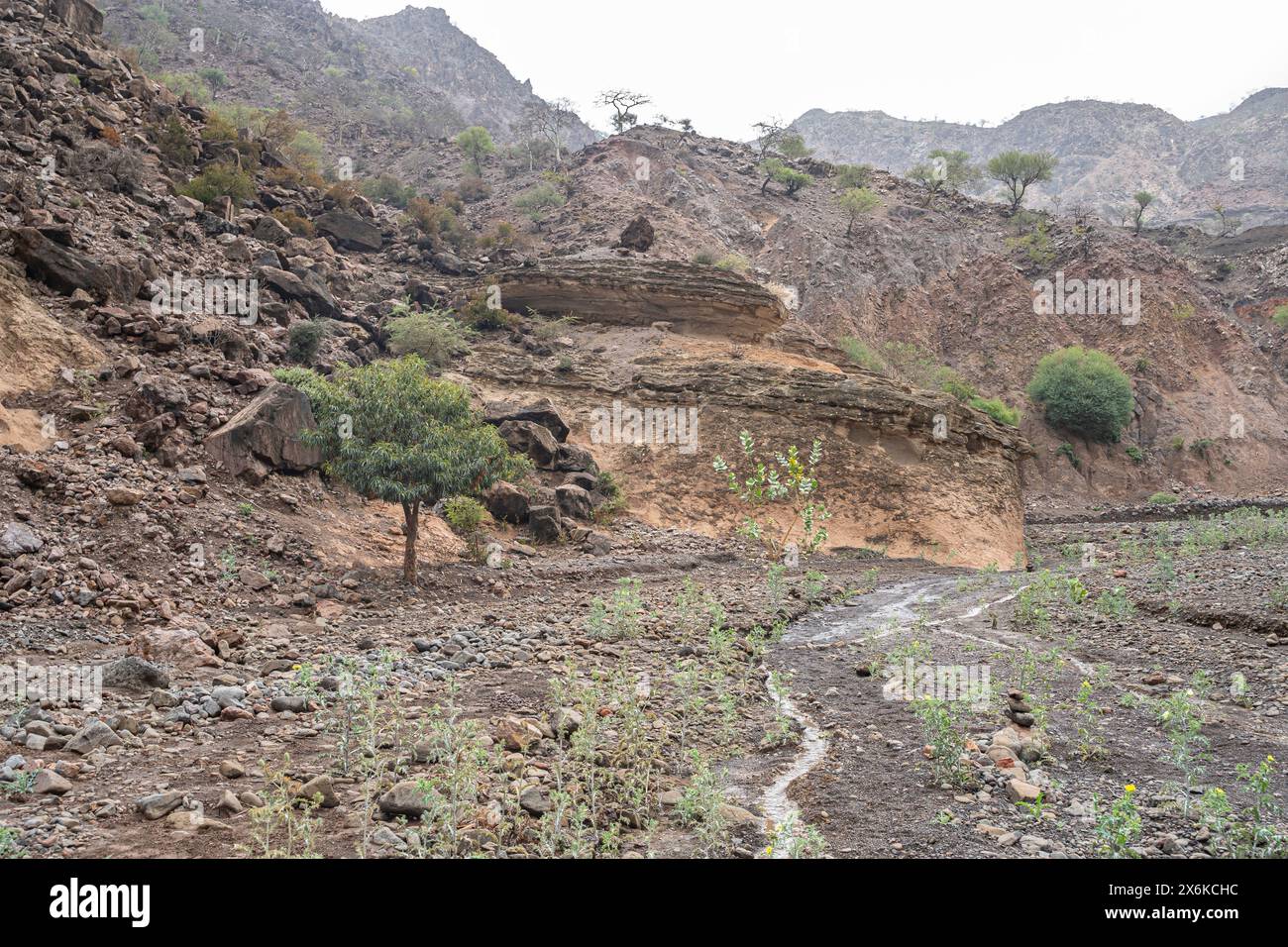 Canyon near the Gulf of Tadjoura part of Great Rift Valley in Djibouti ...