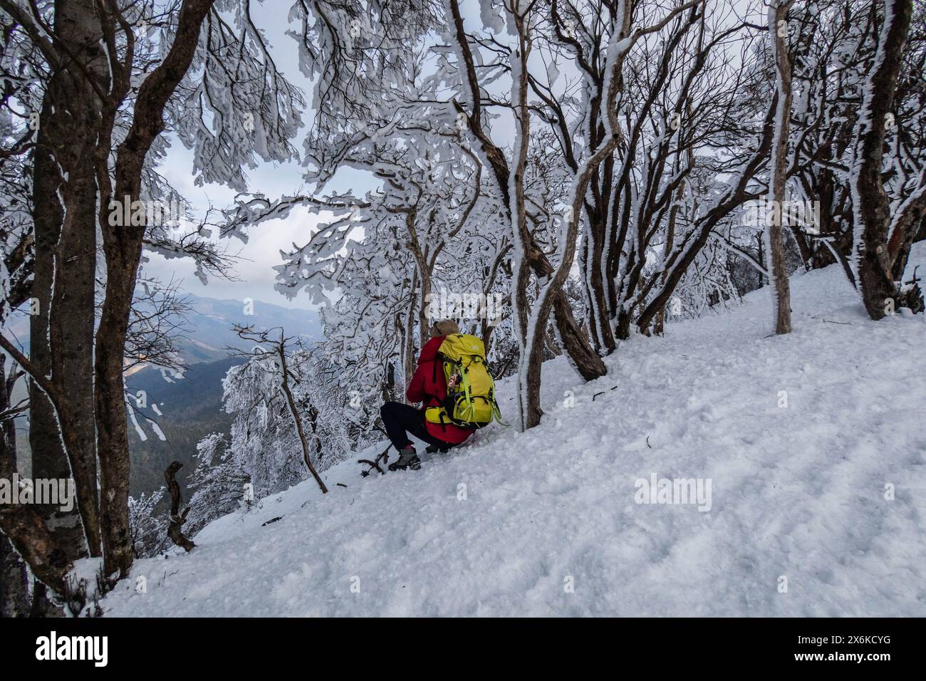 Trekking through the snow and rime ice to Mount Takami in winter, Nara ...