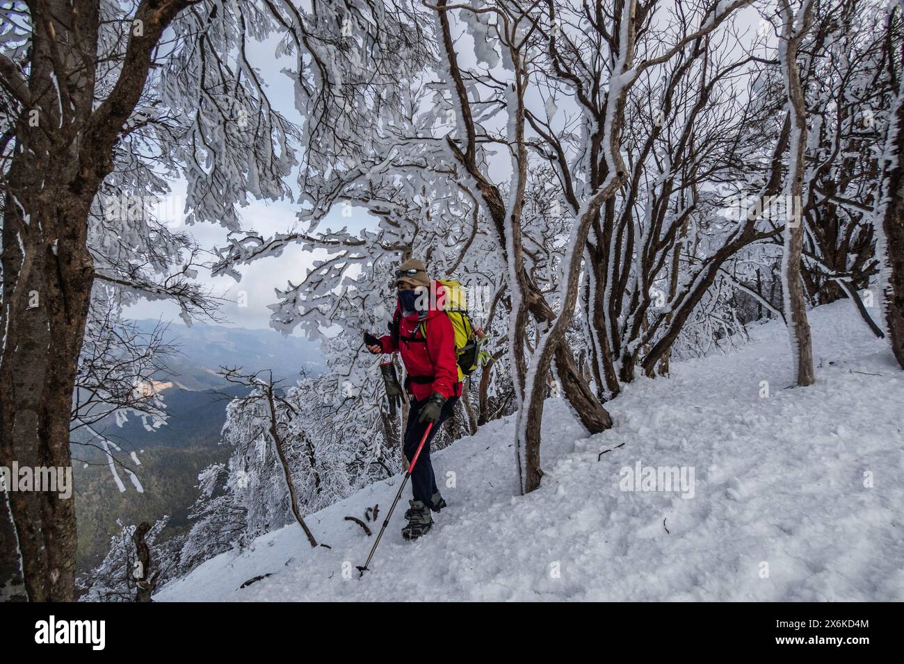 Trekking through the snow and rime ice to Mount Takami in winter, Nara ...