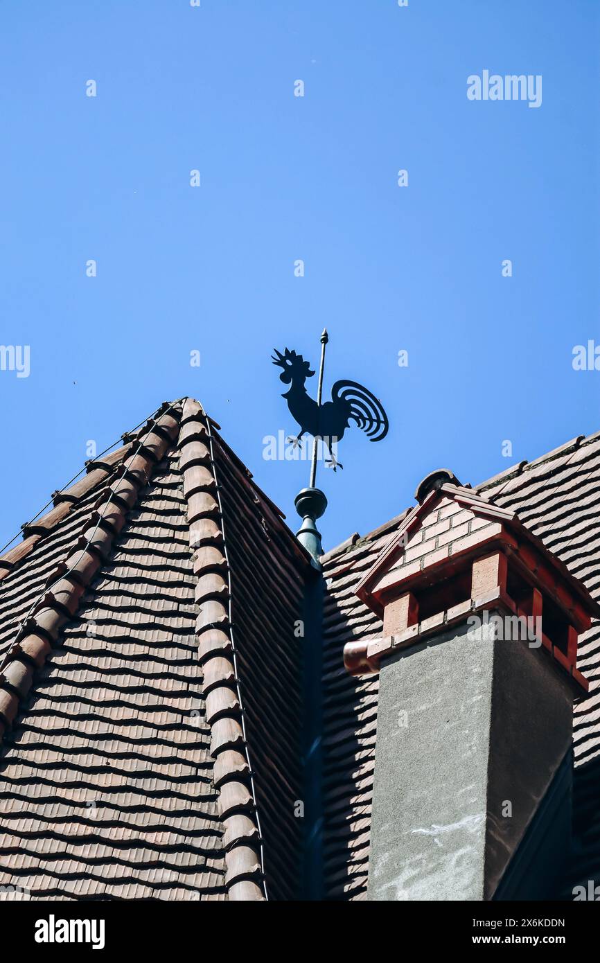 Rooftop in Liechtenstein and an old weather vane in the shape of a ...