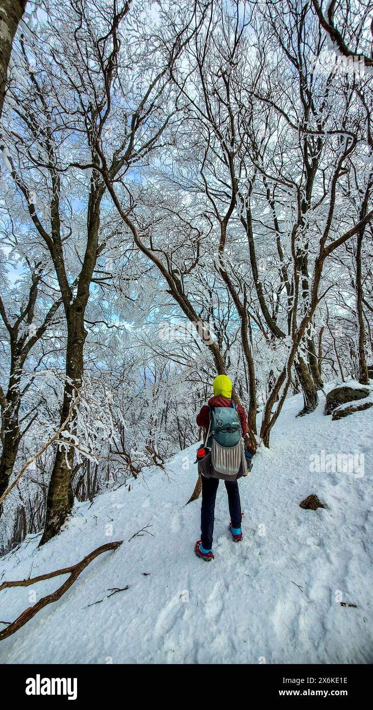 Trekking through the snow and rime ice to Mount Takami in winter, Nara ...