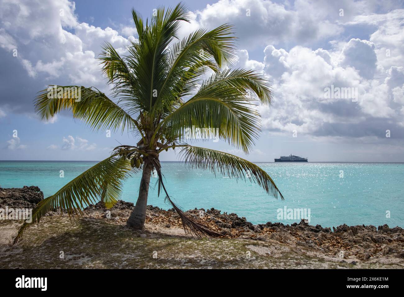 Aerial views of a coconut tree with the expedition cruise ship SH Diana ...