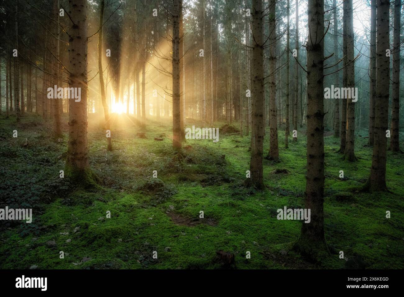 Baar switzerland hi-res stock photography and images - Alamy