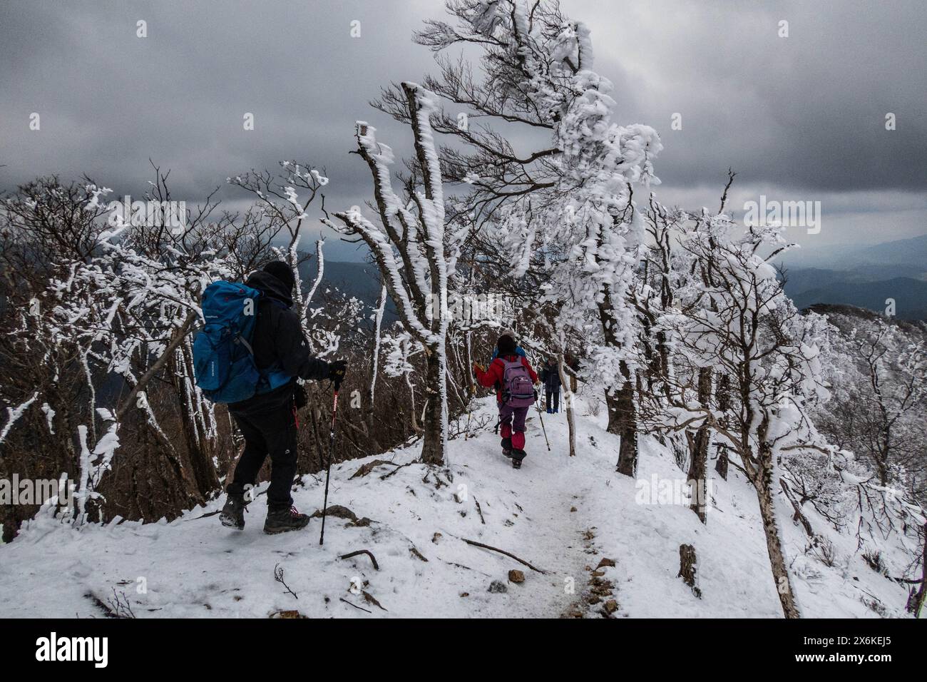Trekking through the snow and rime ice to Mount Takami in winter, Nara ...