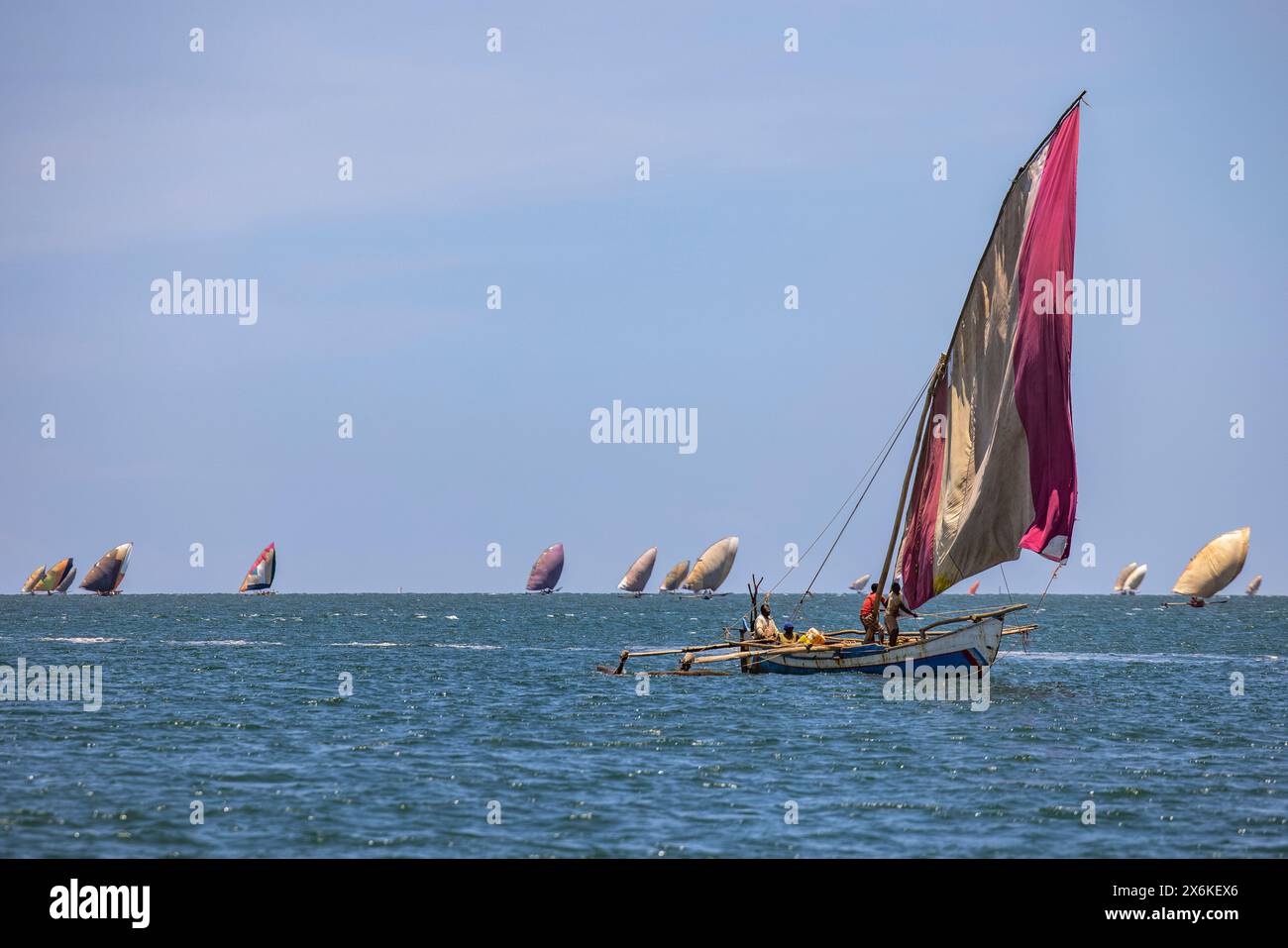 Traditional dhow sailboats, Mahajanga, Boeny, Madagascar, Indian Ocean ...