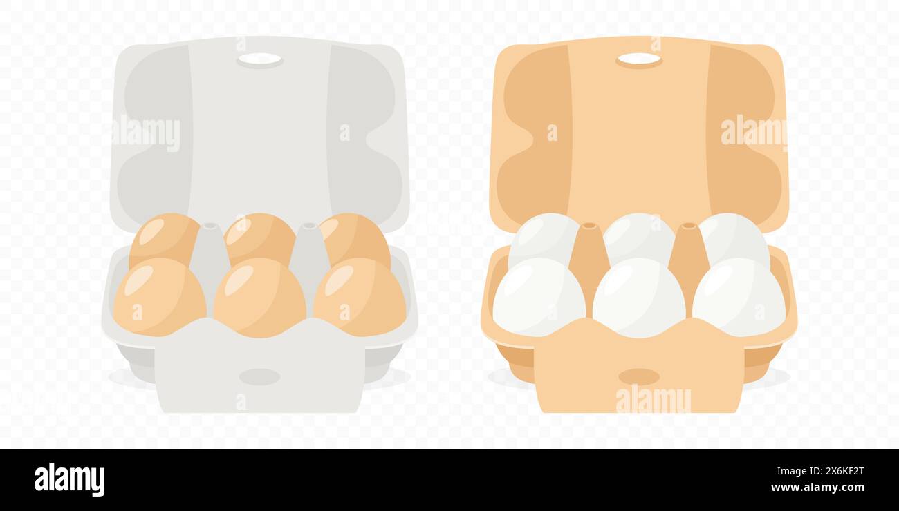 6 Six Vector White and Brown Chicken Eggs in Opened Carton Paper Box ...