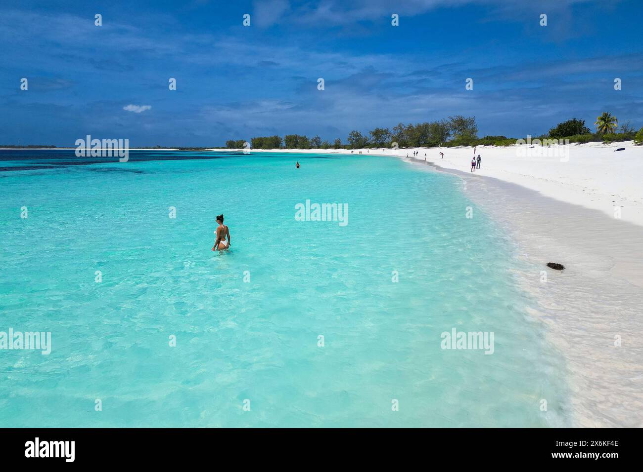 Aerial view of a woman walking in shallow water on the beach ...