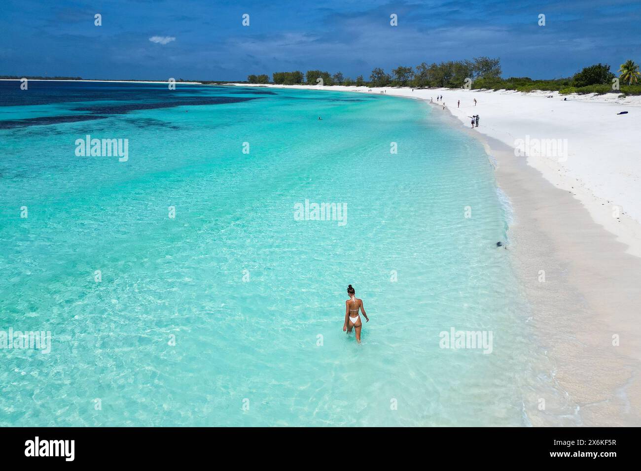 Aerial view of a woman walking along the beach in shallow water ...