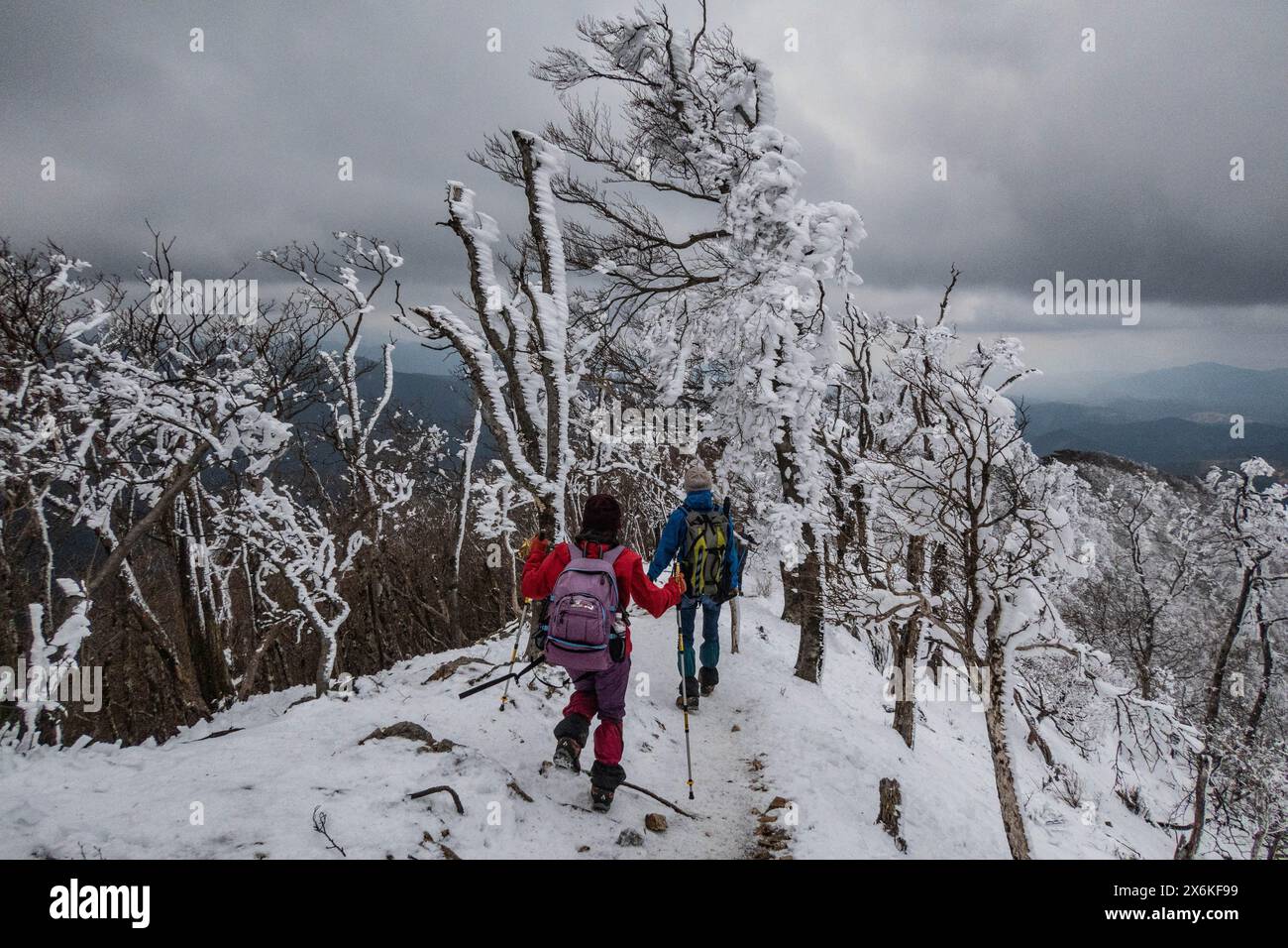 Trekking through the snow and rime ice to Mount Takami in winter, Nara ...