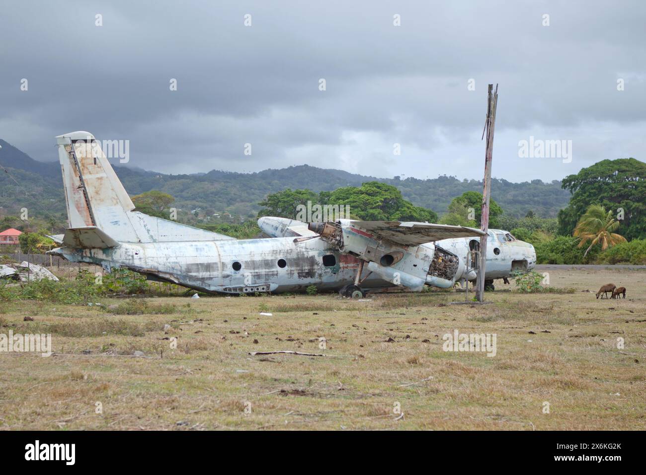 Abandoned airfield hi-res stock photography and images - Alamy