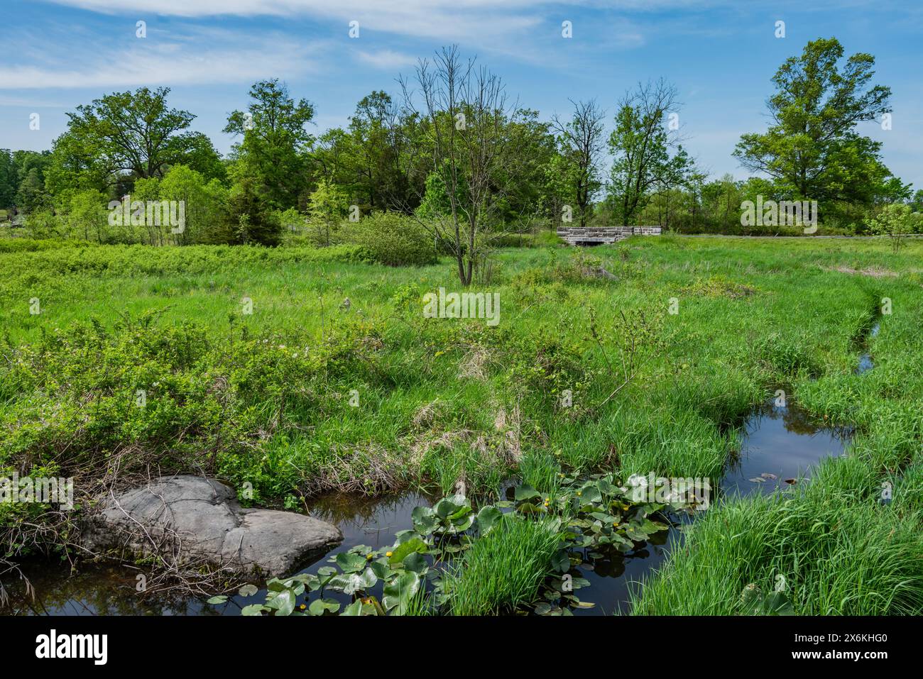 Spring afternopon hi-res stock photography and images - Alamy
