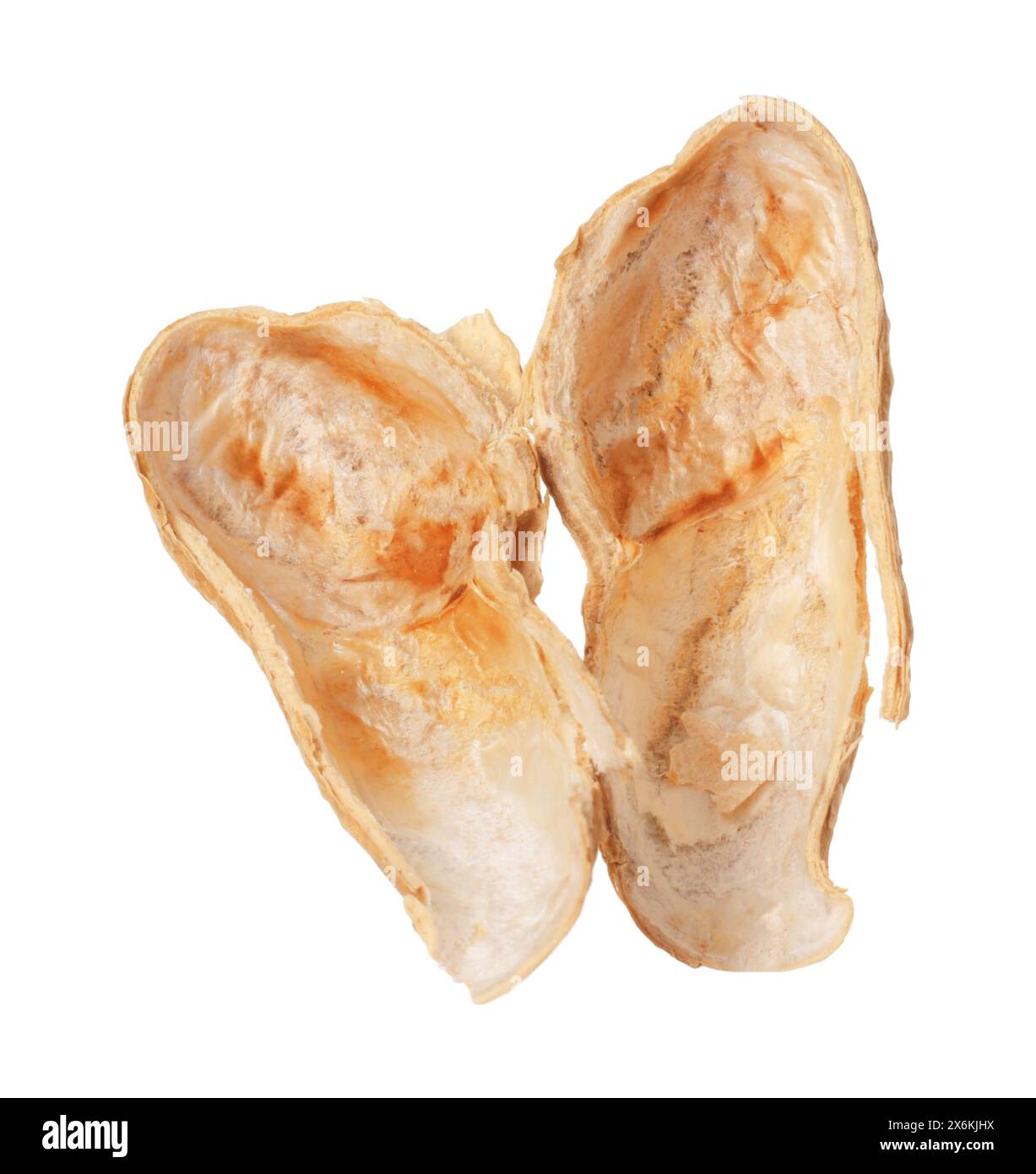 Piece of peanut pod isolated on white Stock Photo - Alamy