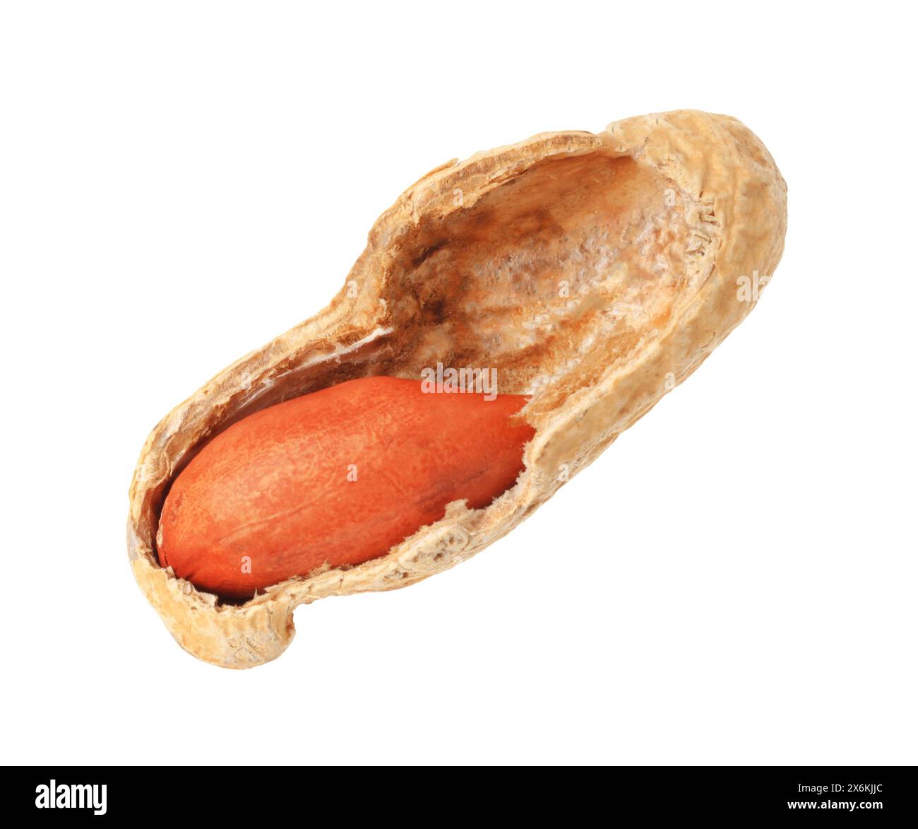 Broken raw peanut pod isolated on white Stock Photo - Alamy