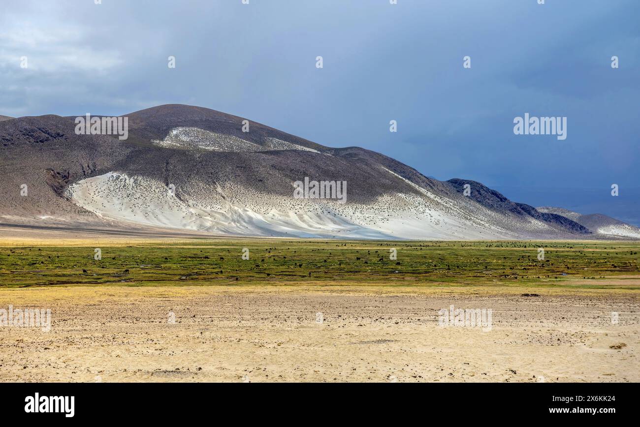 Bolivian Andes between the towns of Uyuni and Potosí Stock Photo - Alamy