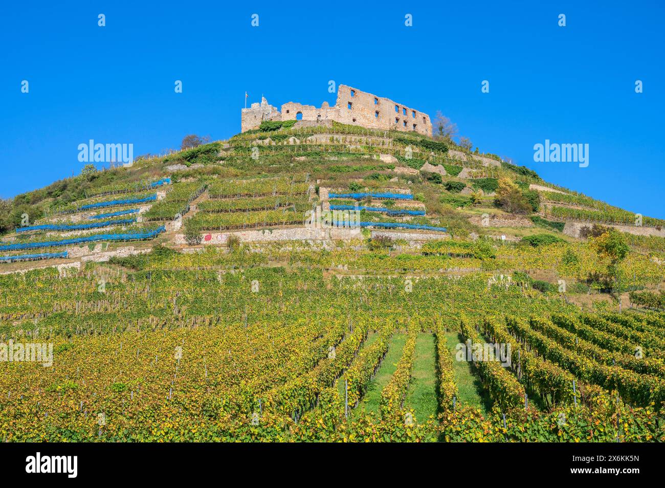 Staufen Castle, Staufen im Breisgau at the exit from Münstertal ...