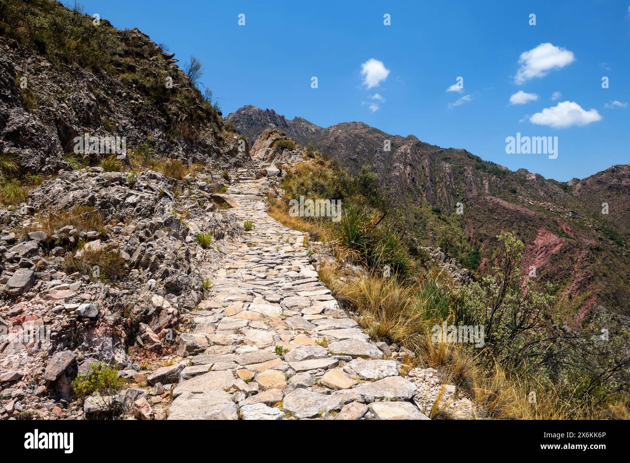 Camino del Inca (Inca Path) in Bolivian Andes Stock Photo - Alamy