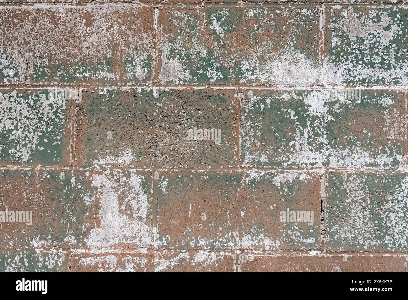 green white and brown chipped old painted cinder block wall background ...