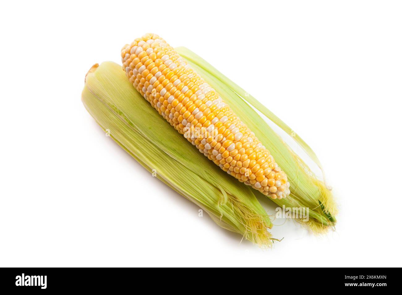 Several ears of ripe corn with soft shadow isolated on white background ...