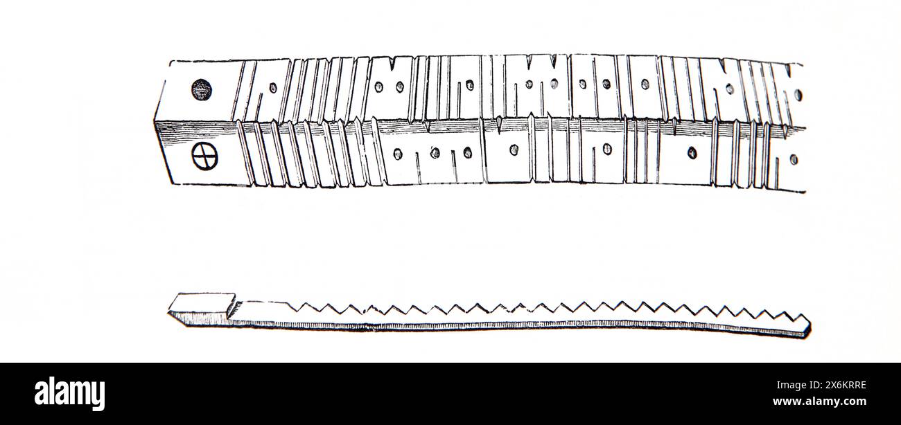 Anglo saxon family Cut Out Stock Images & Pictures - Alamy