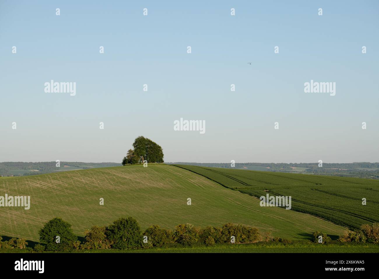 Wednesday 15th May 2024 - Views of Brightwell Barrow, Wittenham Clumps ...