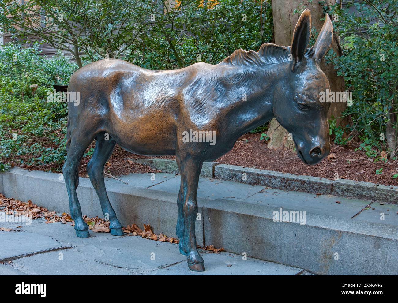 Donkey statue boston hi-res stock photography and images - Alamy