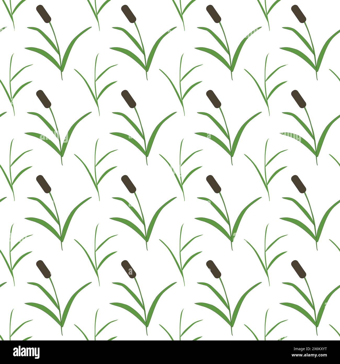 Reeds drawing hi-res stock photography and images - Alamy