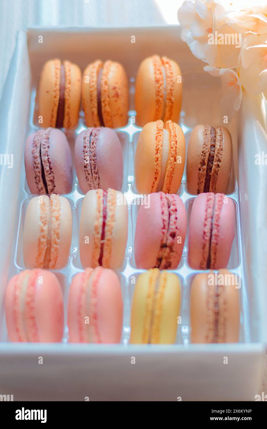 Homemade macaroon of different flavors, with a nice and colorful ...