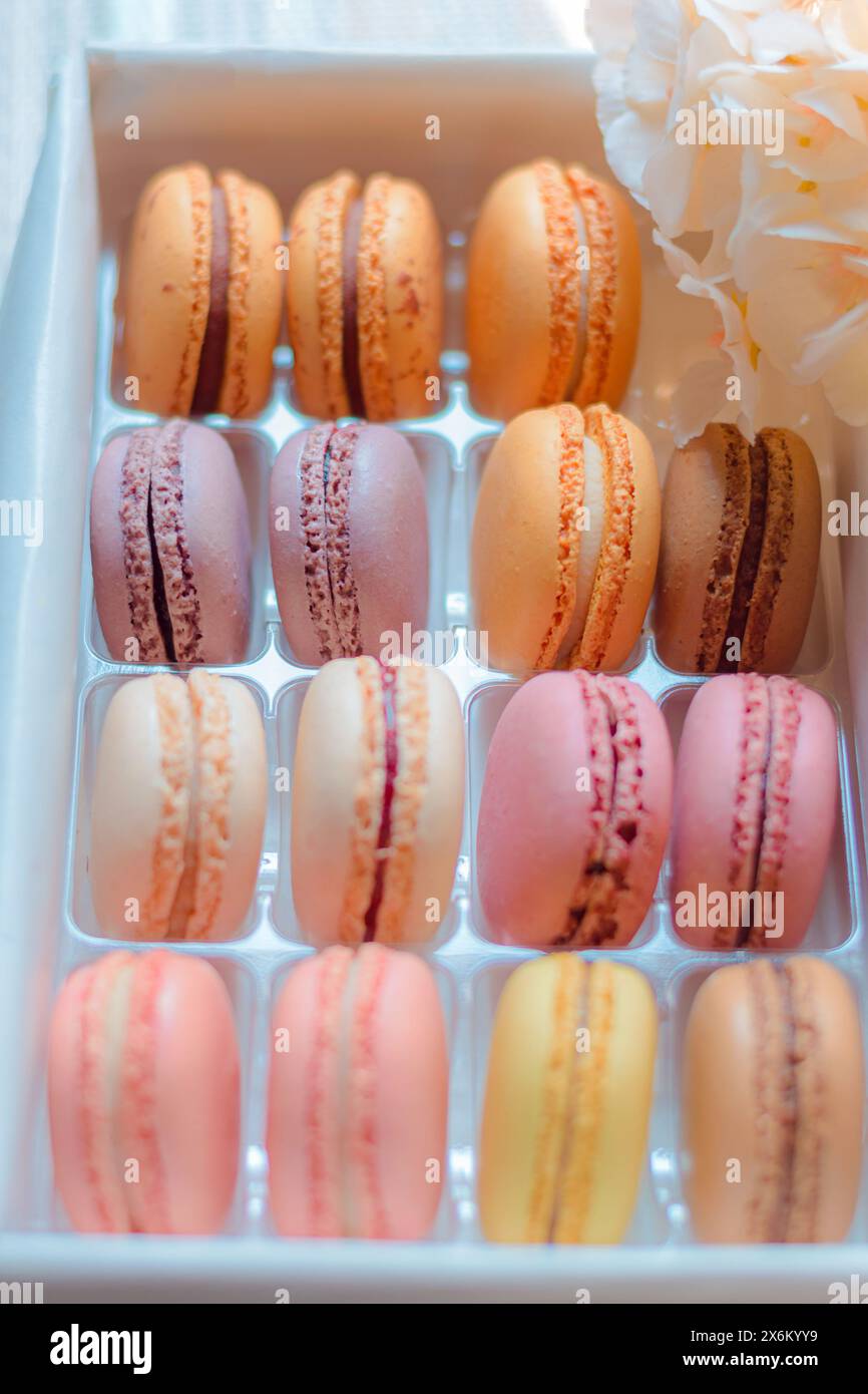 Homemade macaroon of different flavors, with a nice and colorful ...