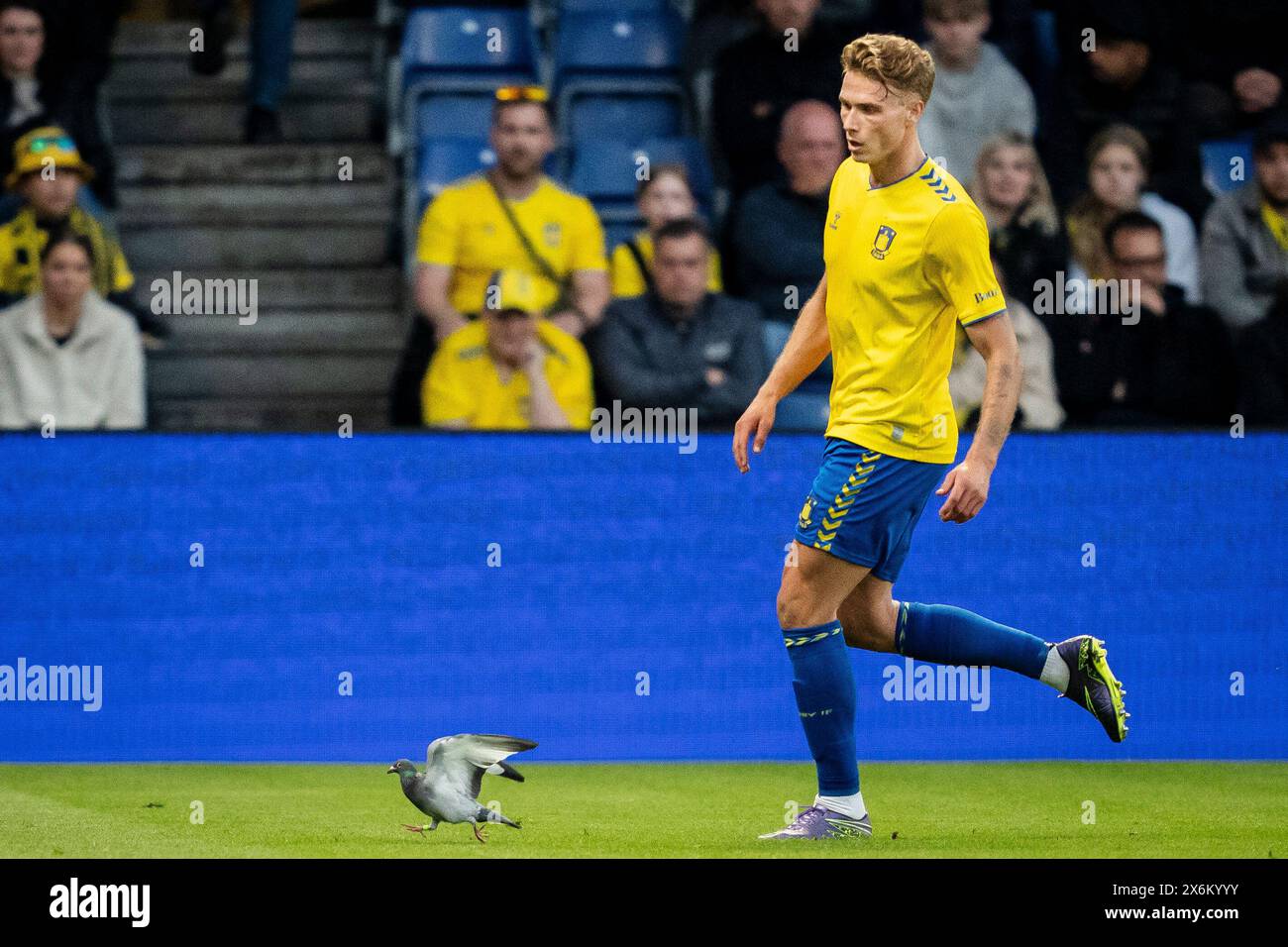 Sébulonsen hi-res stock photography and images - Alamy