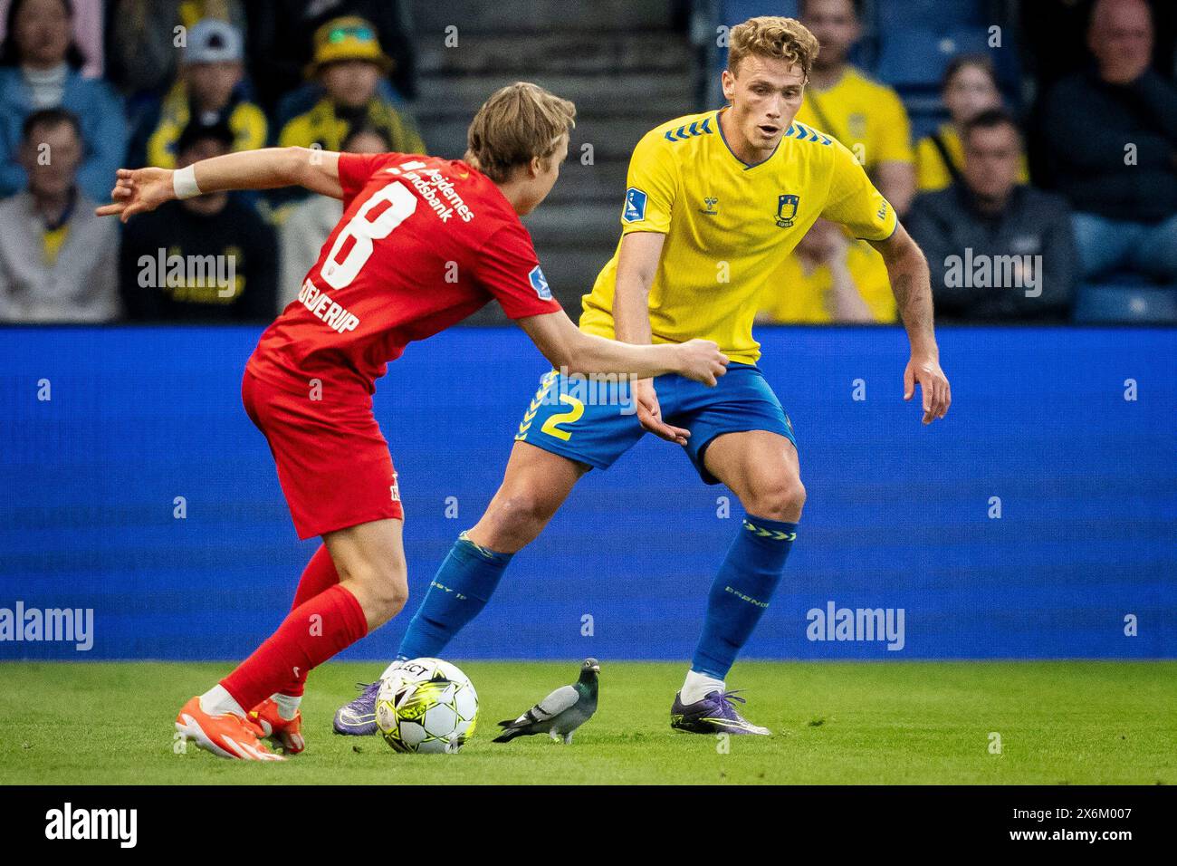 Sébulonsen hi-res stock photography and images - Alamy