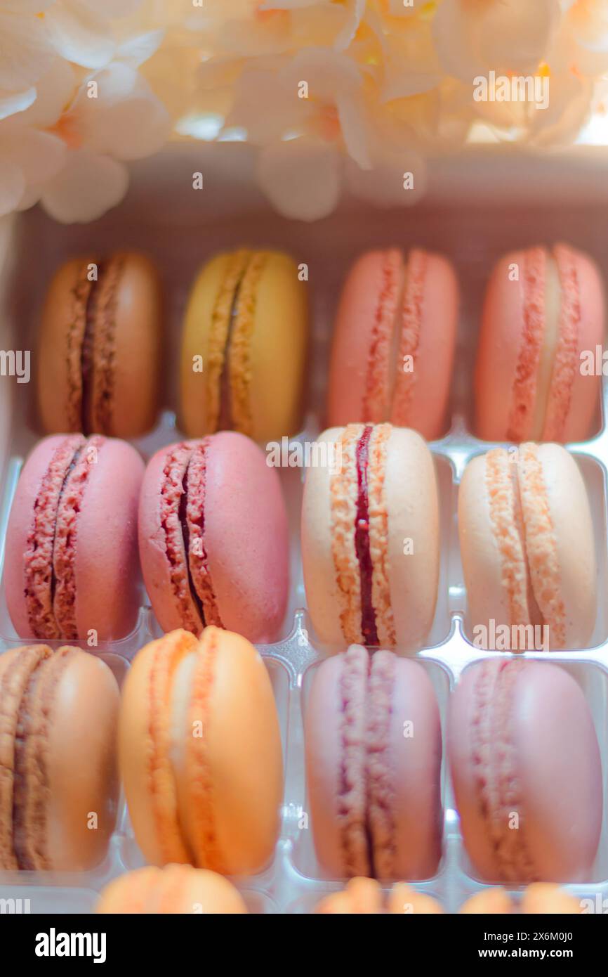 Homemade macaroon of different flavors, with a nice and colorful ...