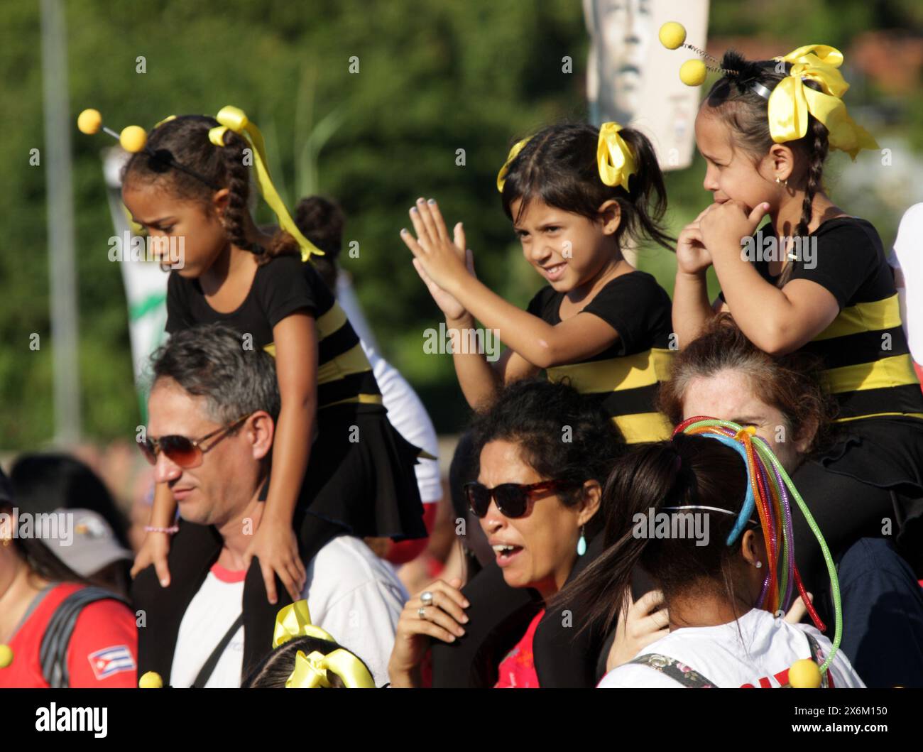 International day bees hi-res stock photography and images - Alamy