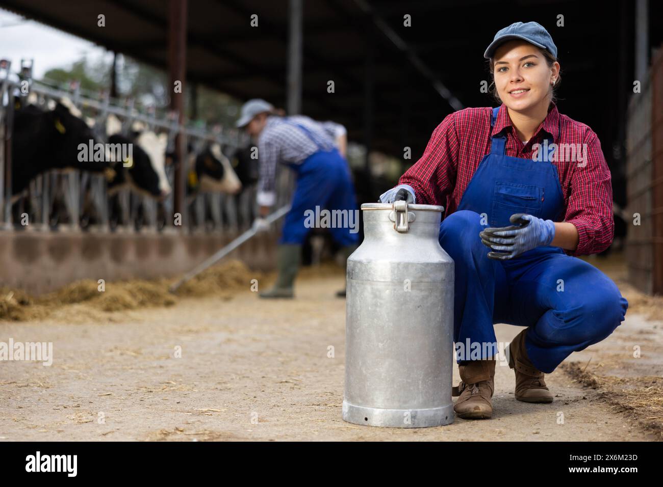 Young positive female farmer carrying milk churn near stall with cows ...