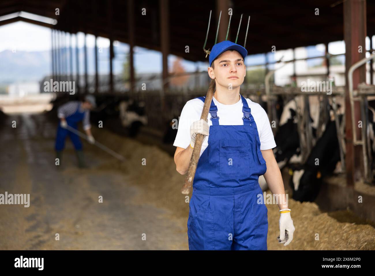 Hardworking young guy farmer in overalls with rake while working on ...