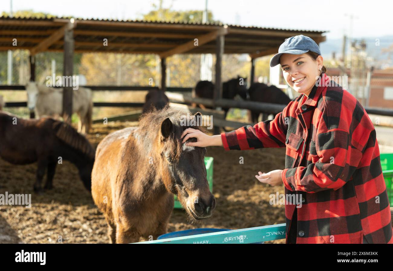 Caring young female stable keeper checking and stretching hand to ...