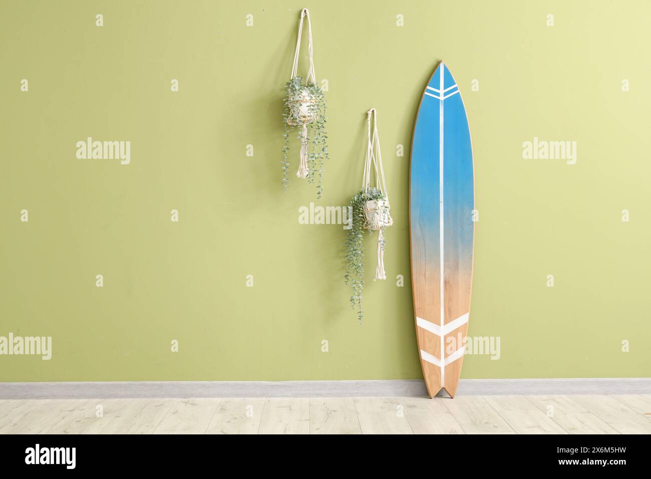 Surfboard with plants on green wall in room Stock Photo - Alamy