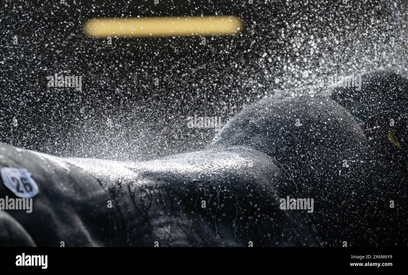 Blue show hi-res stock photography and images - Alamy