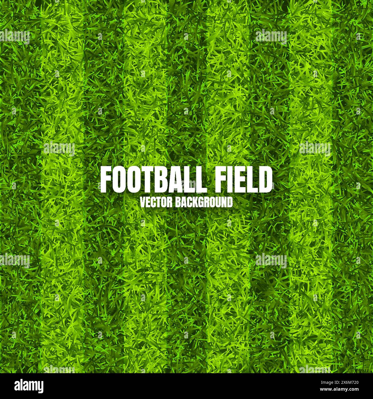 Soccer playing field with green grass. Football pitch background with ...