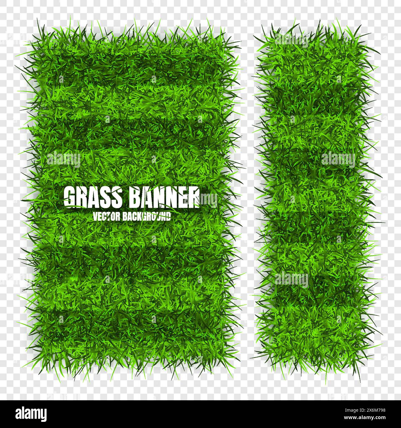 Green grass banners, background. Field, meadow texture, grassy ...