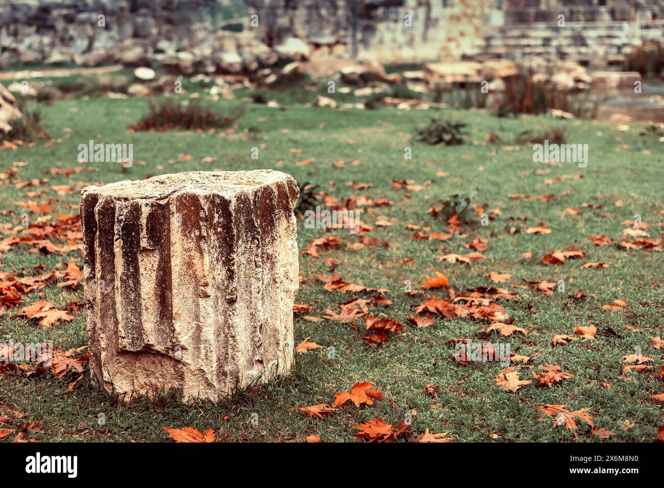 An ancient column amidst green grass Stock Photo - Alamy
