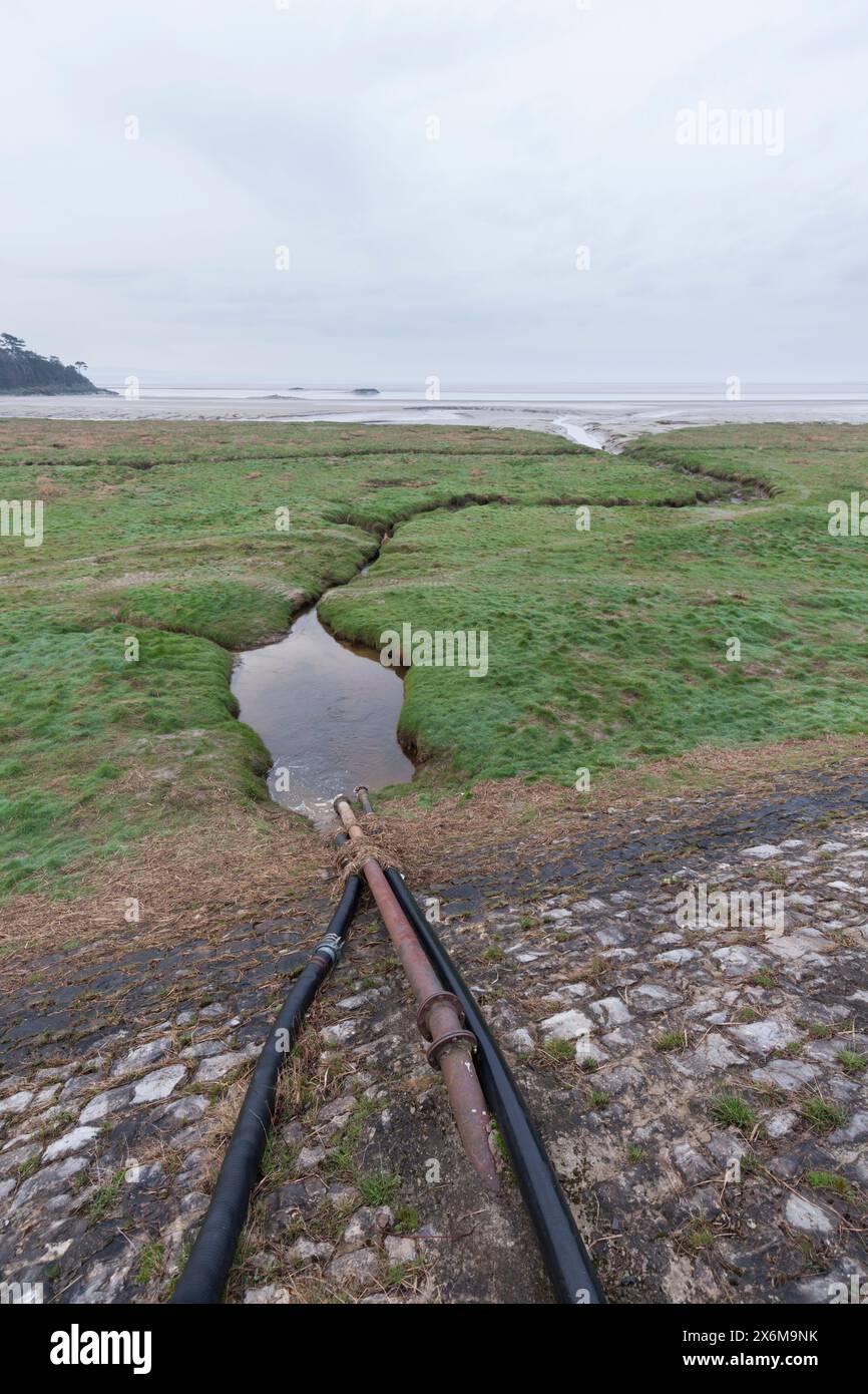 Drainage channel in the salt marsh at Grange over Sands, Cumbria, UK ...