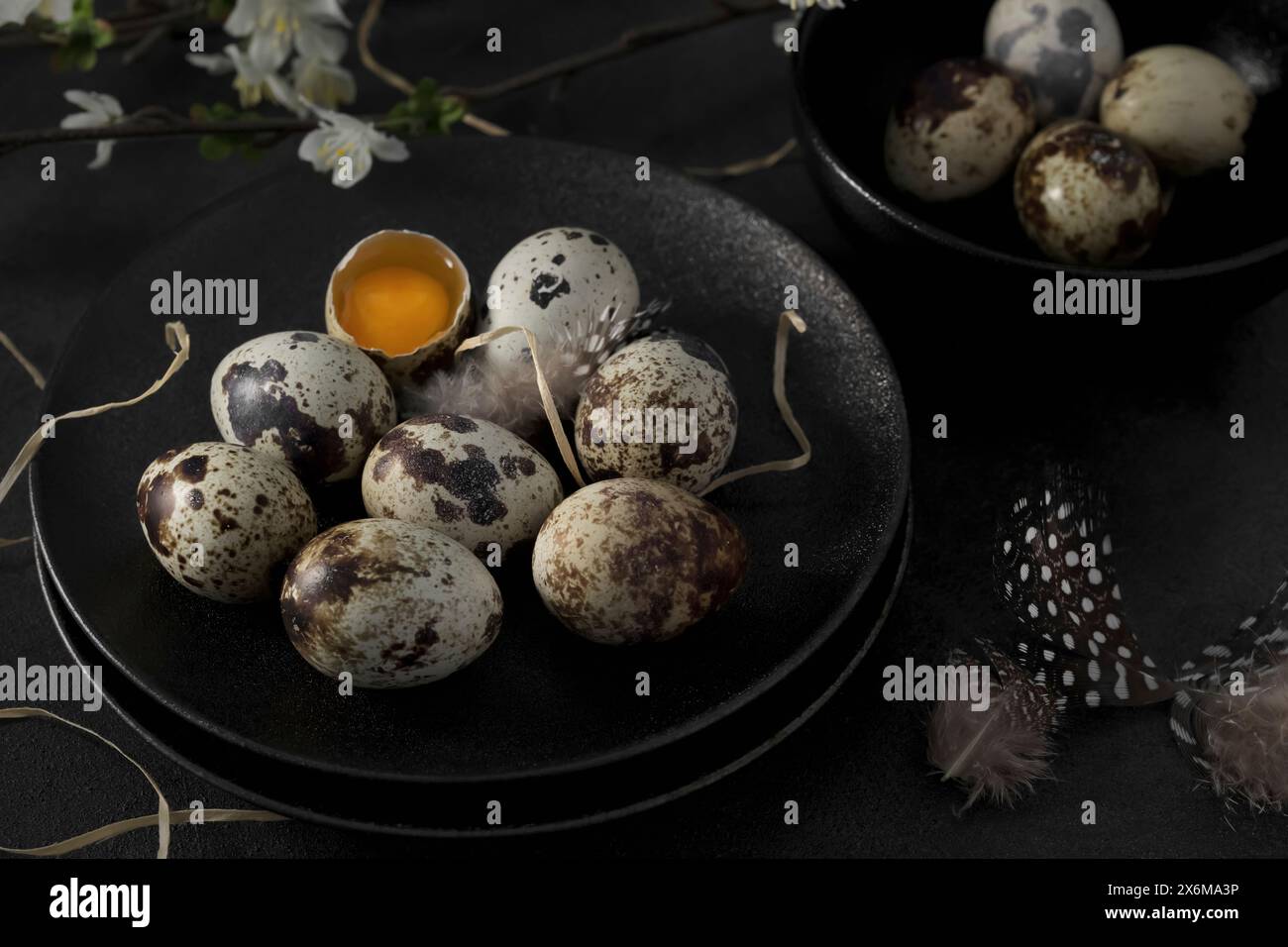 One quail egg open hi-res stock photography and images - Alamy