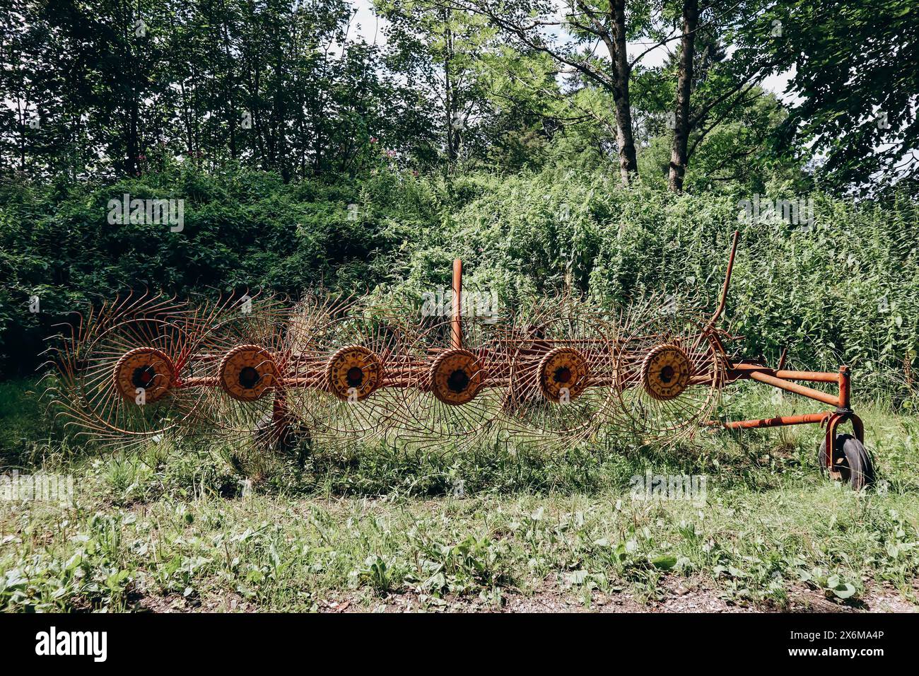Vicon six wheel hay rake in Schwangau, Germany Stock Photo - Alamy