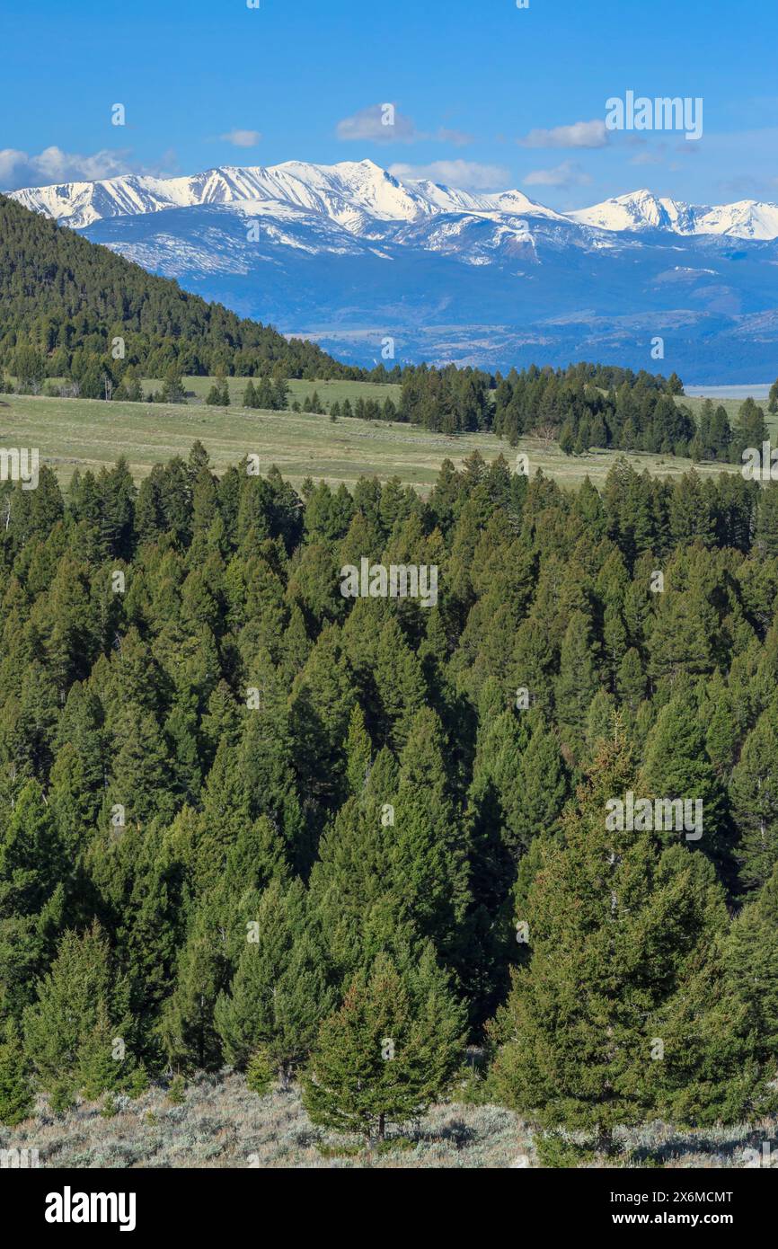 Anaconda range hi-res stock photography and images - Alamy