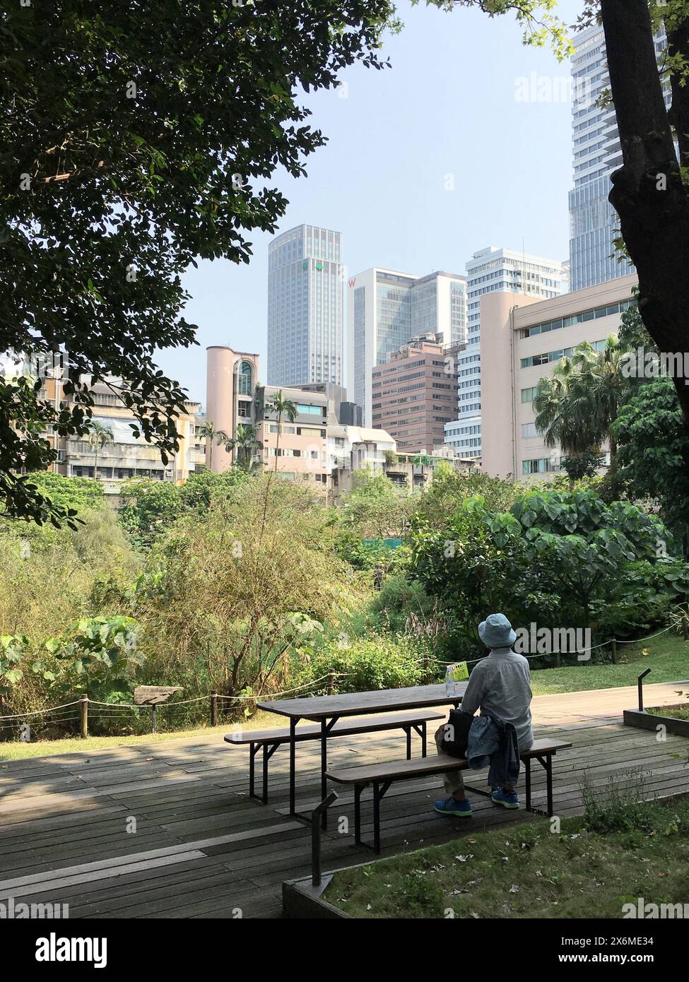 A bench to rest in the shade of the trees: a man enjoys a short break ...