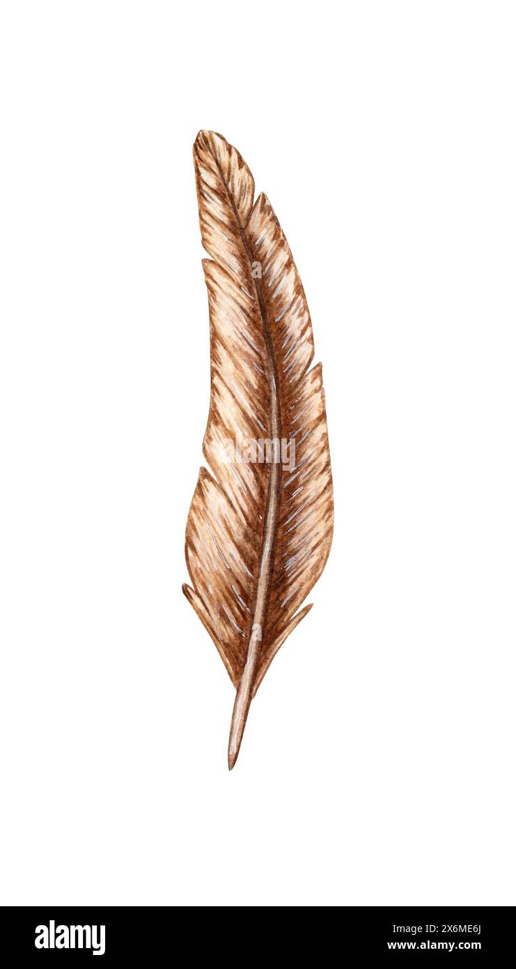 Bird flight drawing hi-res stock photography and images - Alamy